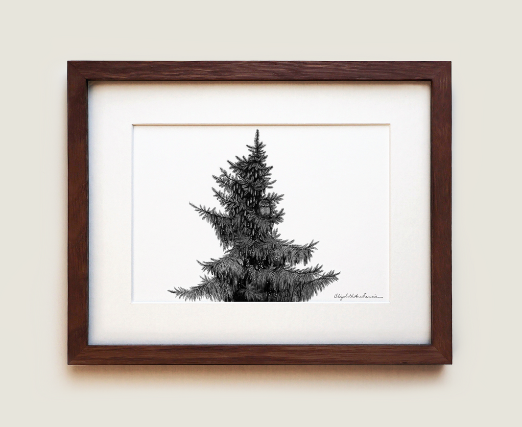 Elizabeth Ann Francis | fine art